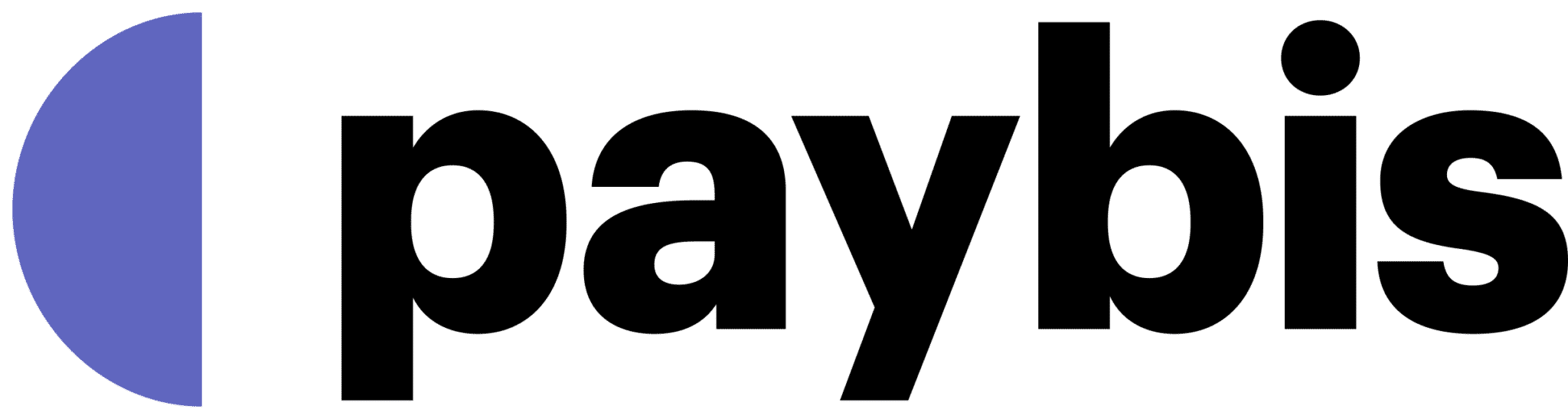 Paybis Review 2025 | Pricing, Features, Pros and Cons