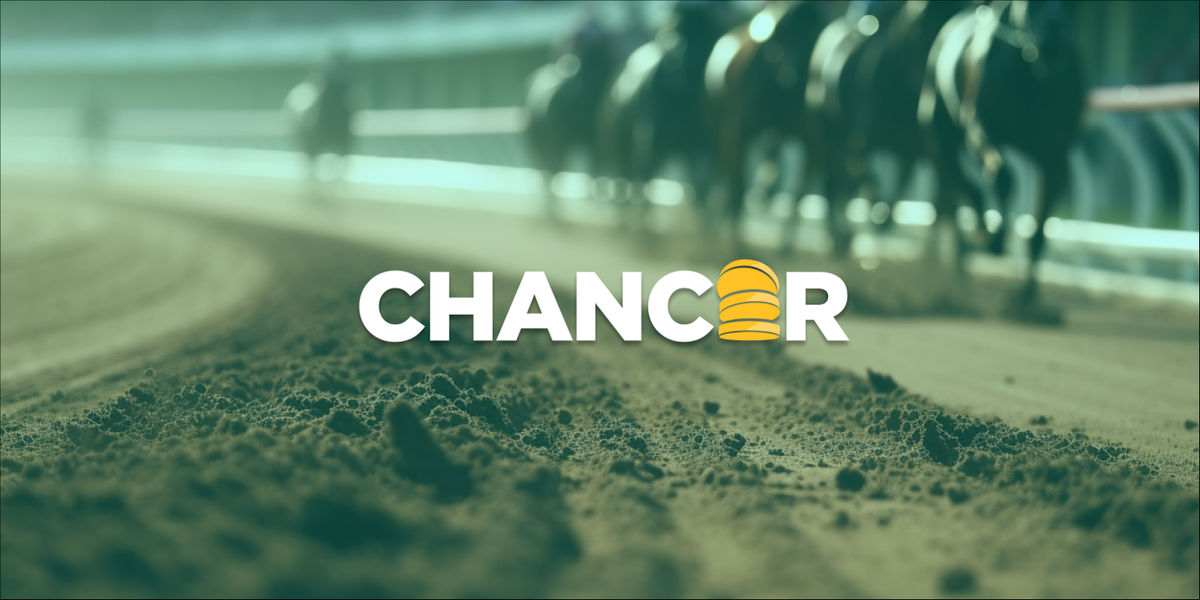 Price Predictions for Chancer: $1.7m Raised - How Does It Rank Among ...